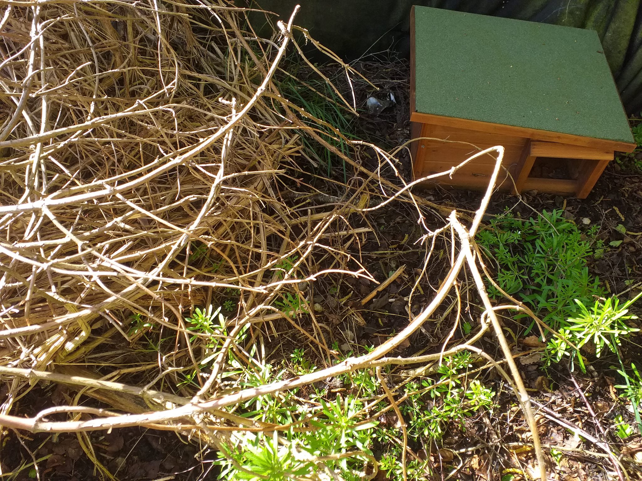 Nature Reserve | Willowfield